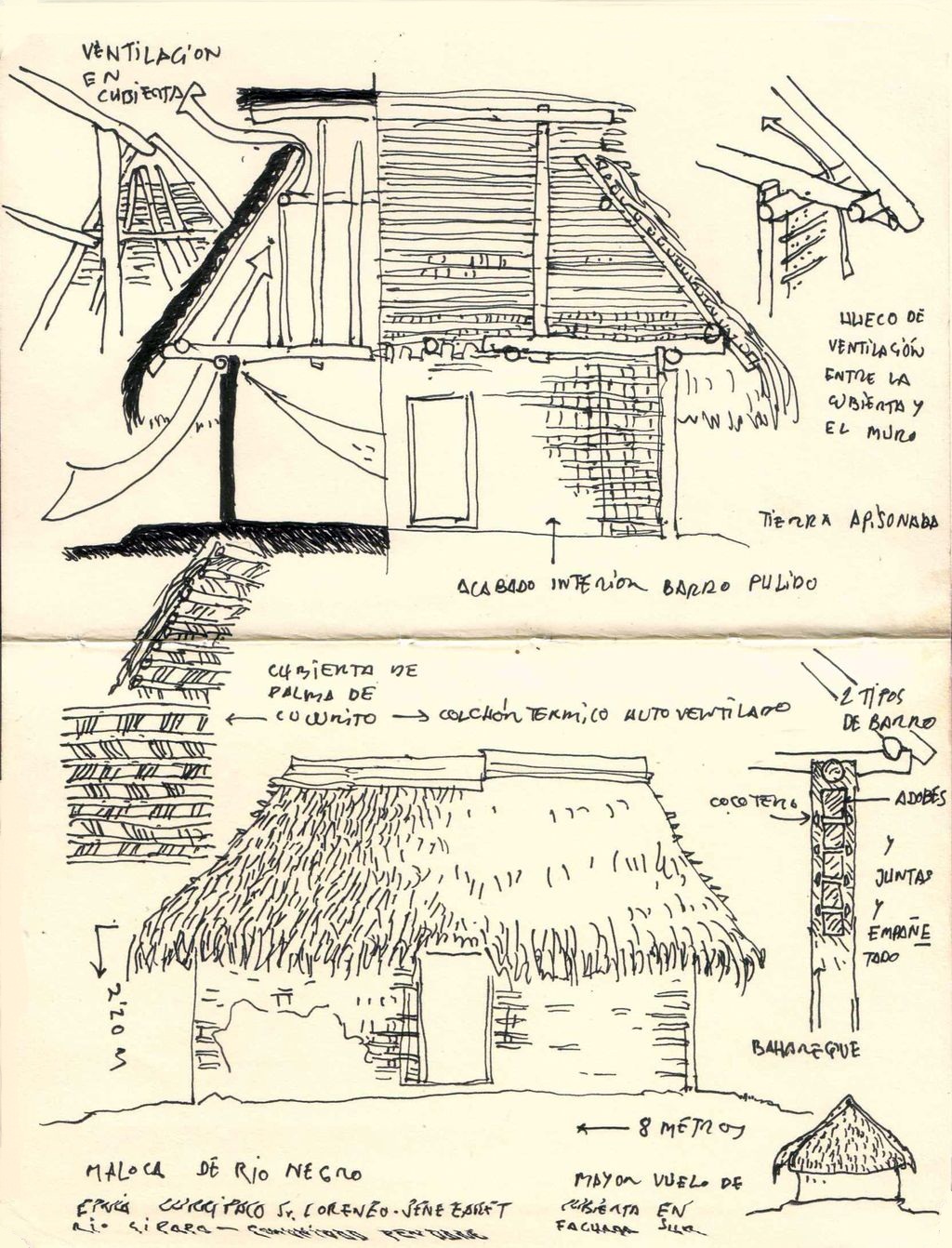 Diversidad bioconstructiva en el río Orinoco, Estado Amazonas ...