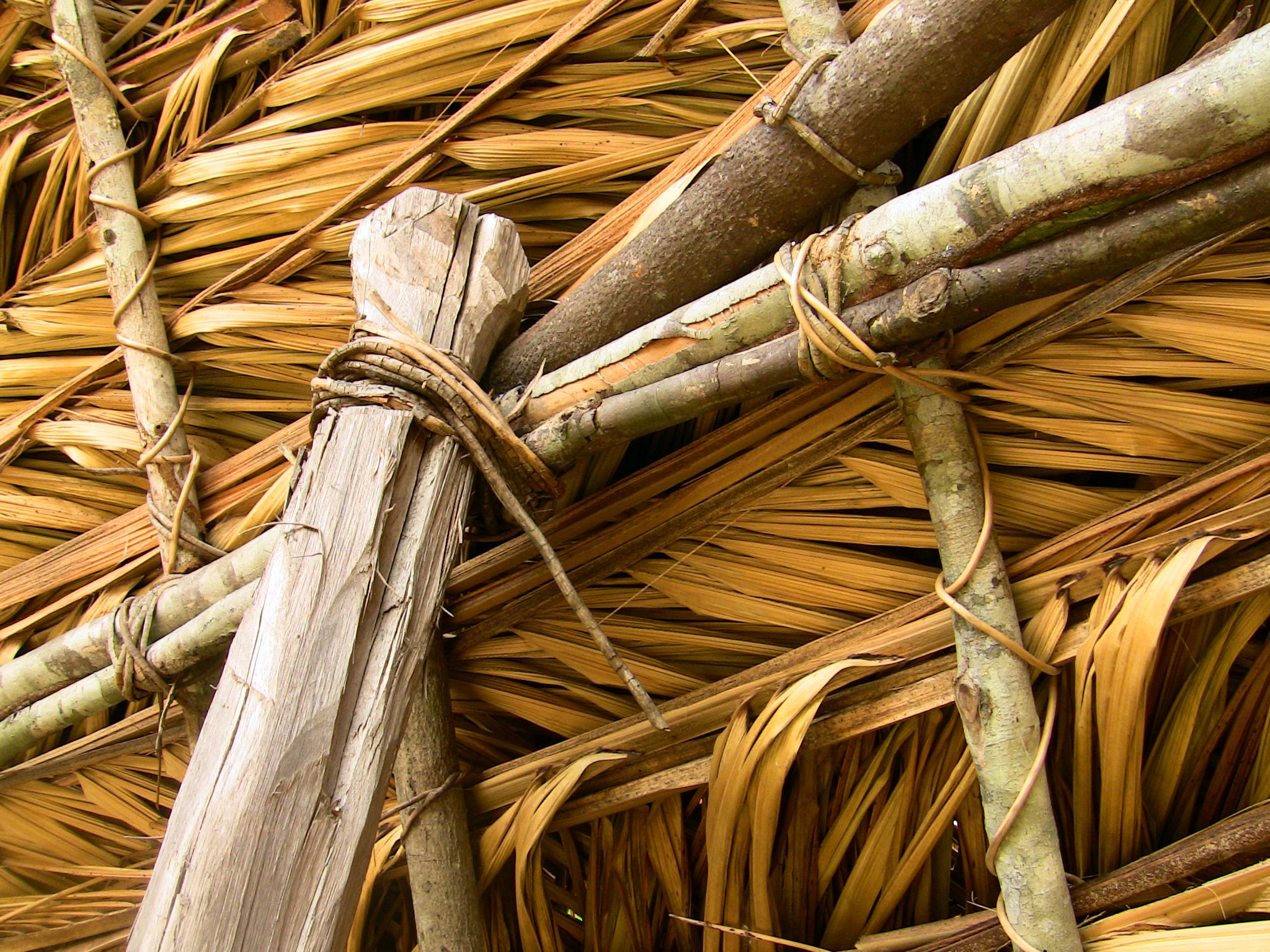 La catedral de la arquitectura indígena venezolana: Churuata piaroa (en ...