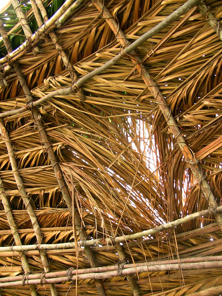 La catedral de la arquitectura indígena venezolana: Churuata piaroa (en ...