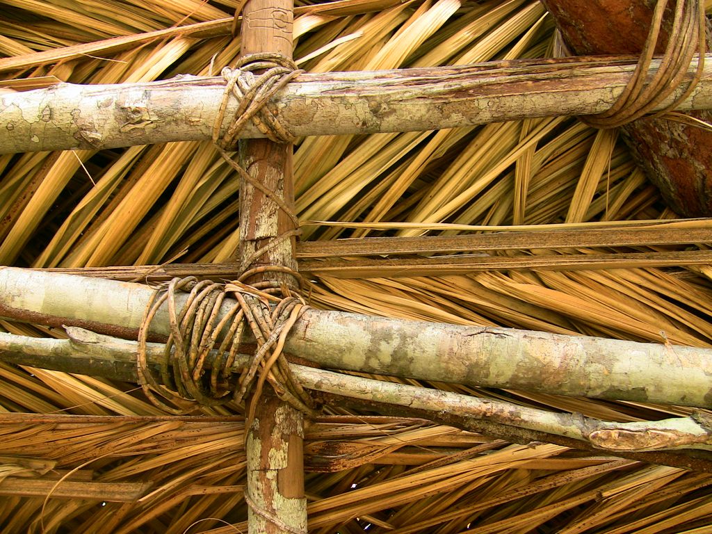 La catedral de la arquitectura indígena venezolana: Churuata piaroa (en ...