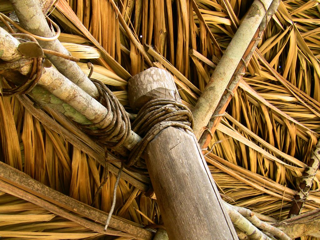 La catedral de la arquitectura indígena venezolana: Churuata piaroa (en ...