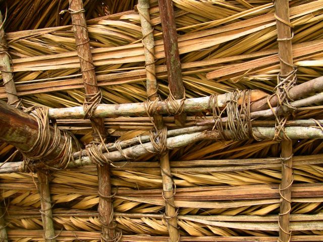 La catedral de la arquitectura indígena venezolana: Churuata piaroa (en ...
