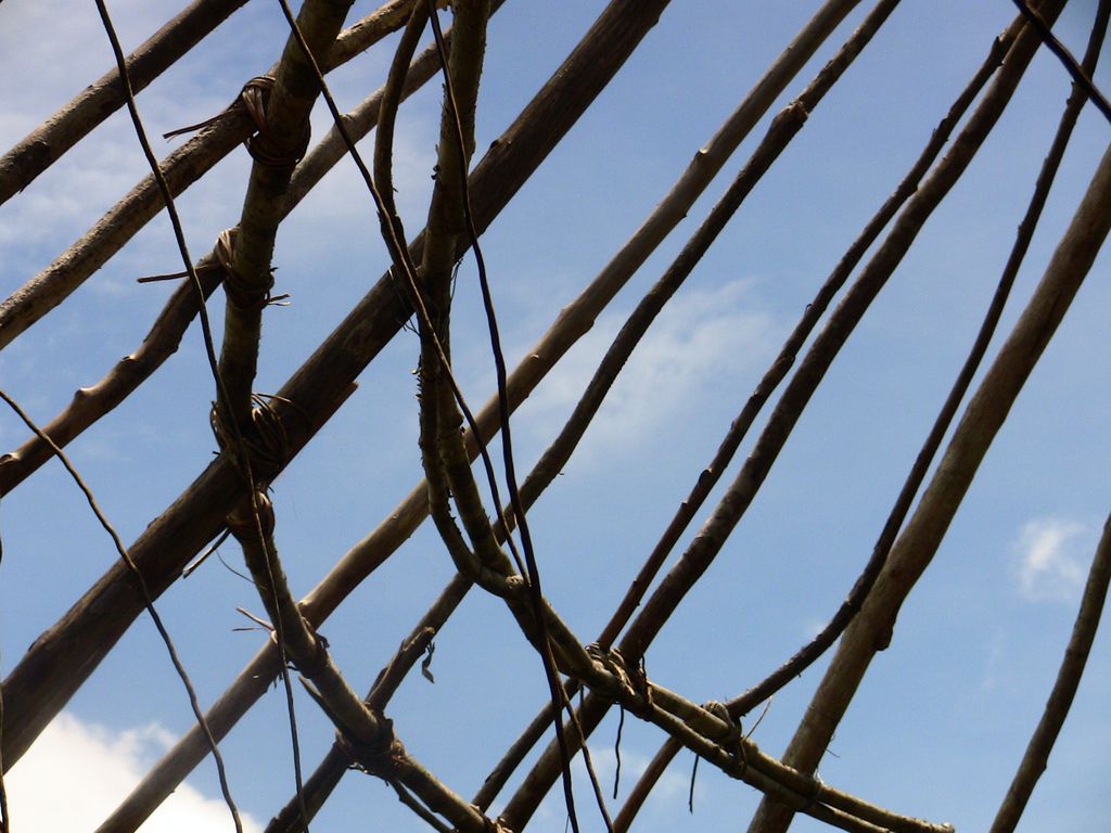 La catedral de la arquitectura indígena venezolana: Churuata piaroa (en ...